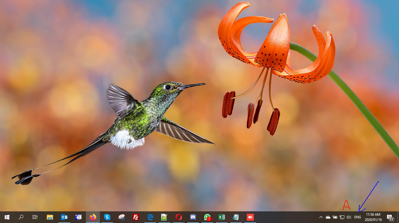 Courses - Synats Computers Training Center